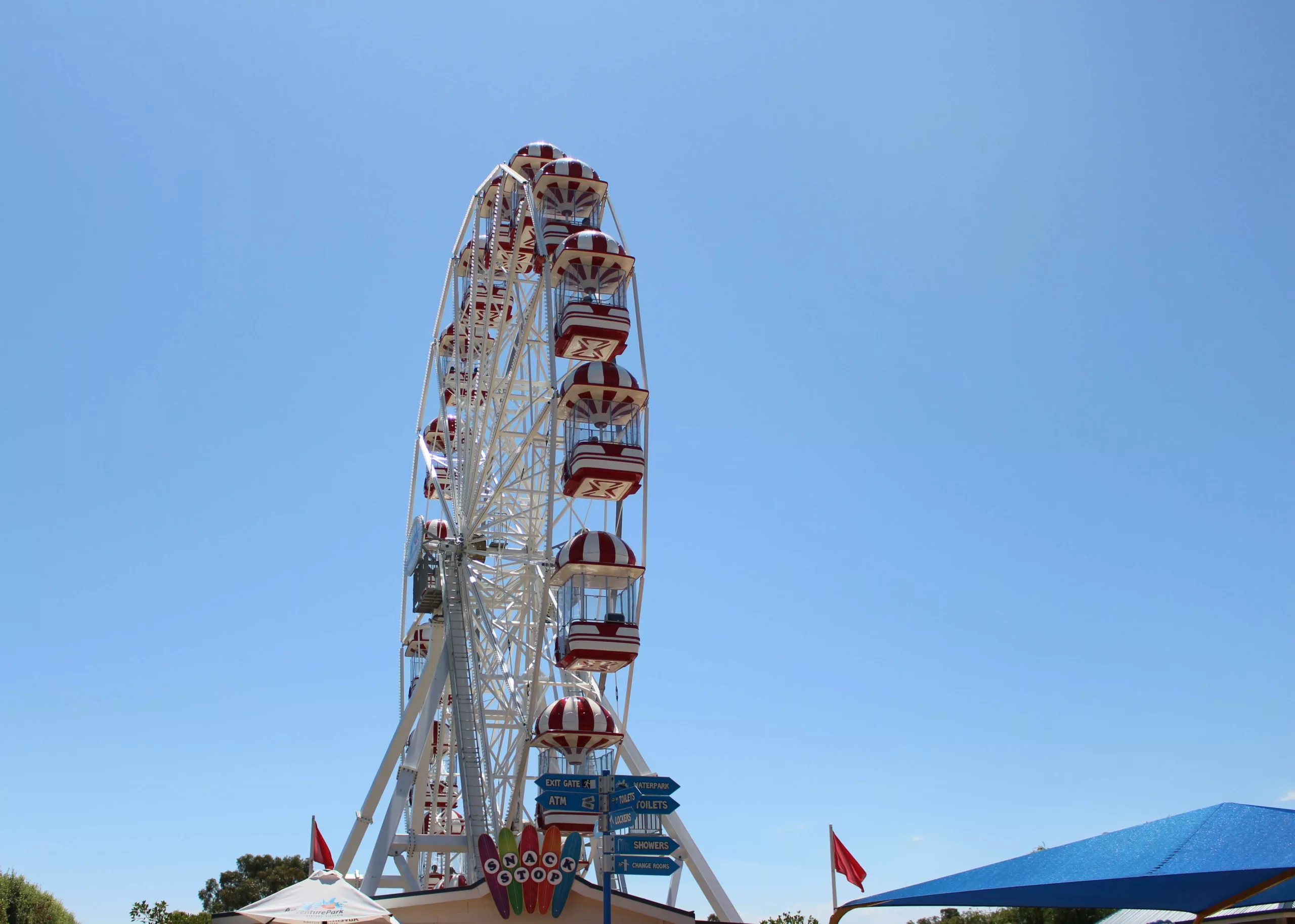 Family fun in the sun at Adventure Park Day - Very Special Kids