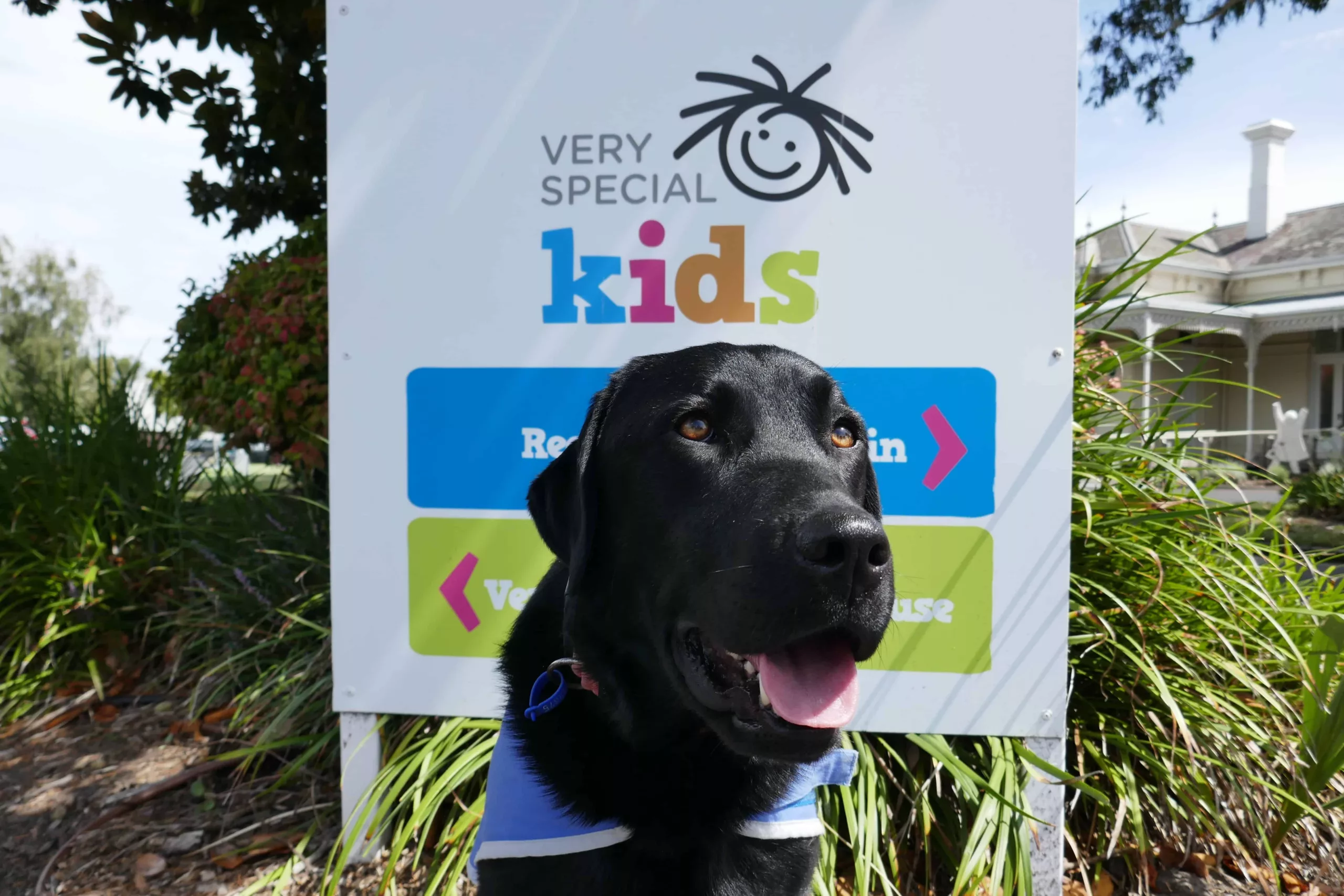 A special dog’s tale - Very Special Kids