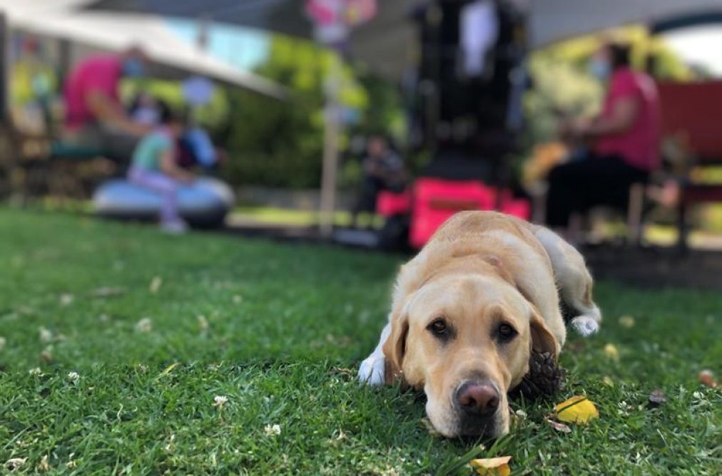 Respite care - Very Special Kids